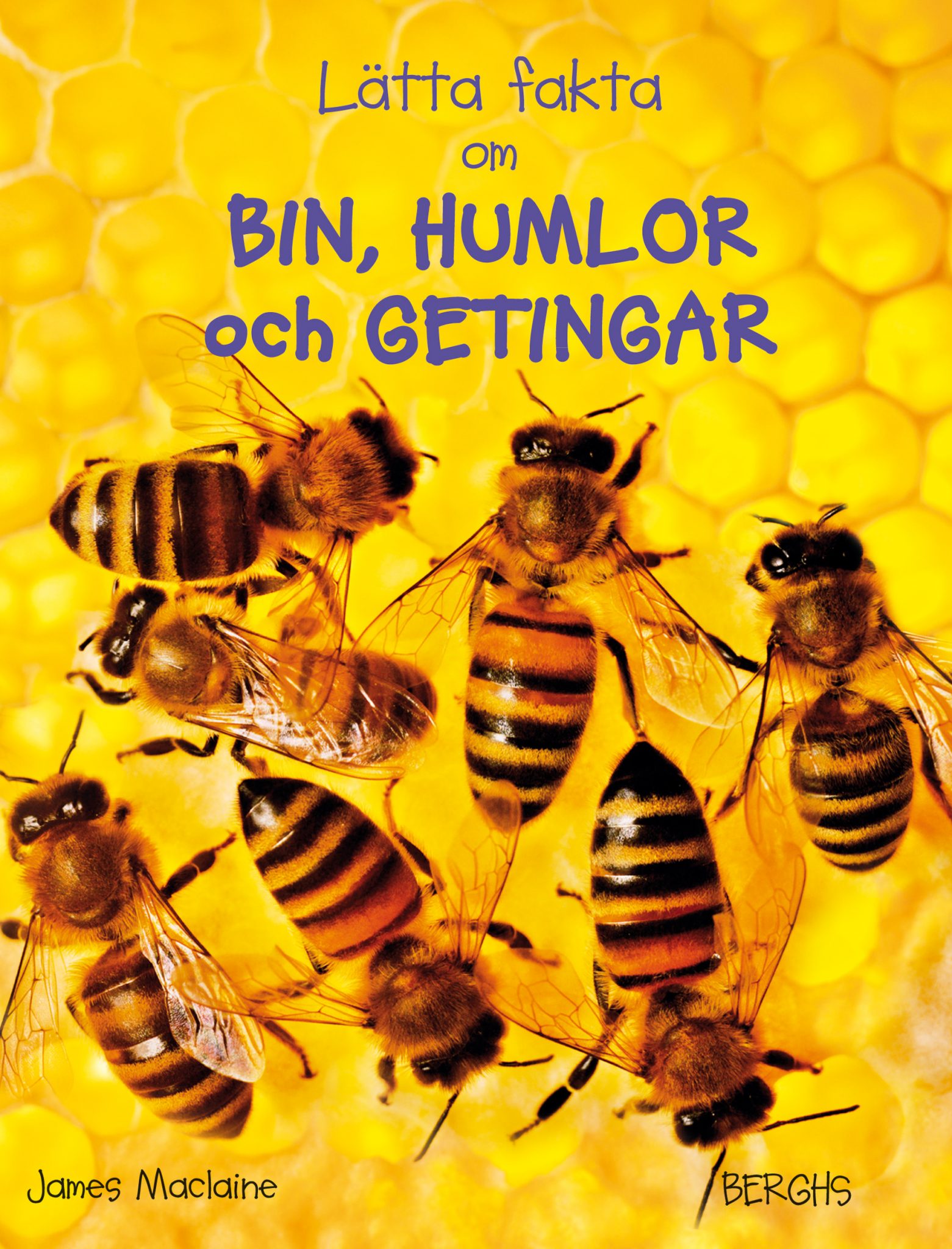 Lätta fakta om bin, humlor och getingar – Barnboksprat