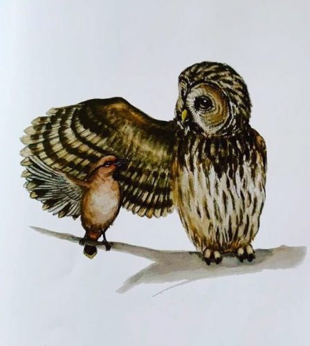 Hålla hand – Barnboksprat